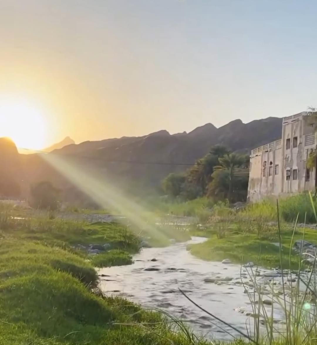 Discover Samail, Oman: Forts, Wadis & Ancient Wonders | Oman Explorer